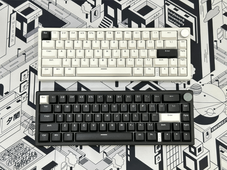 VORTEXSERIES GT-65 LITE – REVIEW – KEEB Mechanical Keyboard